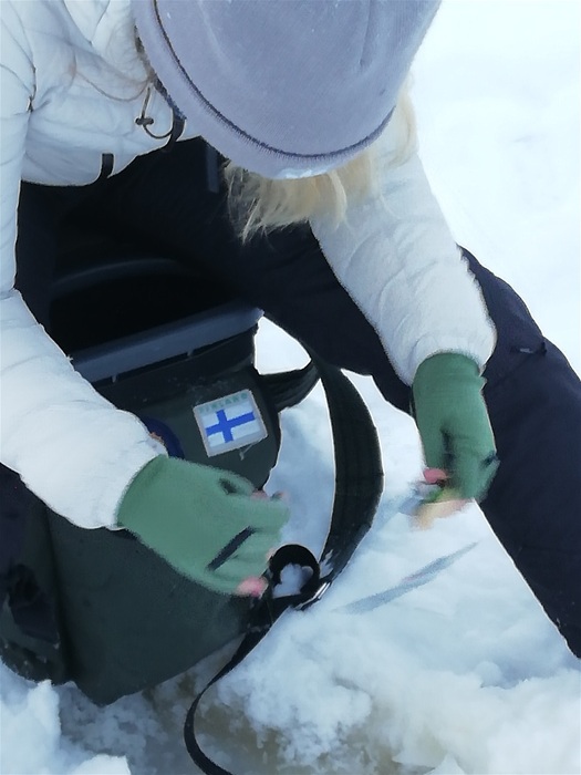 Karanteeni ahven 2021 :: Meri- Lapin urheilukalastajat